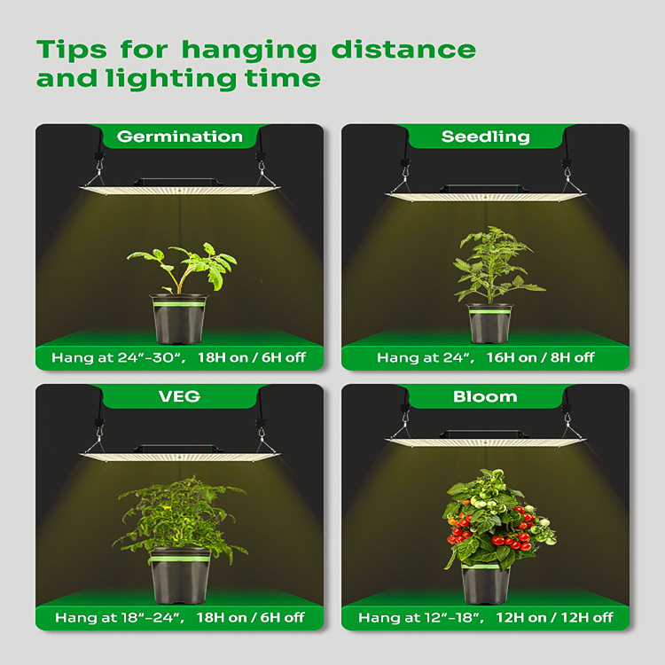 What Wattage Is Required To Grow Plants Indoors? | An Ultimate Guide ...