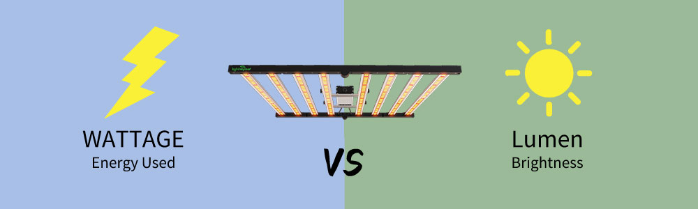 What Wattage Is Required To Grow Plants Indoors? | An Ultimate Guide ...