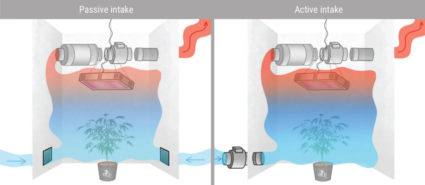 How Do I Set Up A Ventilation System For Grow Room? - Lightmyleaf