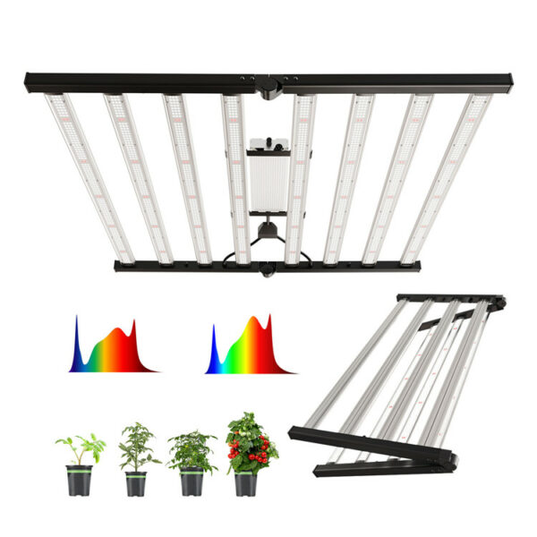 How Far Should Your LED Light Be From Your Weed Plant? - Lightmyleaf