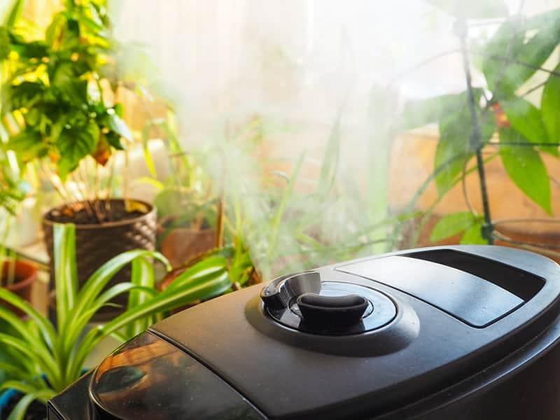 How Do I Set Up A Ventilation System For Grow Room? - Lightmyleaf