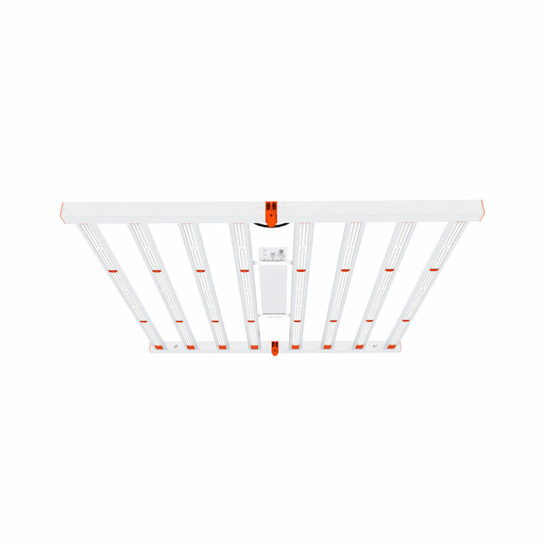 Complete Guide to Growing Indoor Plants with 1000W LED Plant Light Bar ...