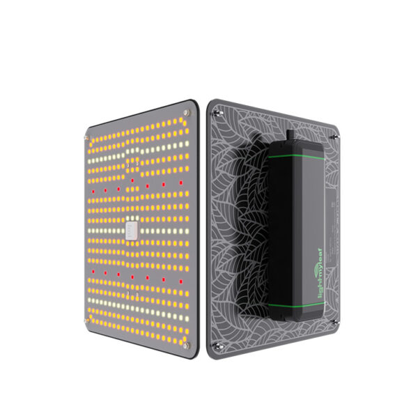 How Quantum Panel Grow Lights Can Grab the Lead? - Lightmyleaf
